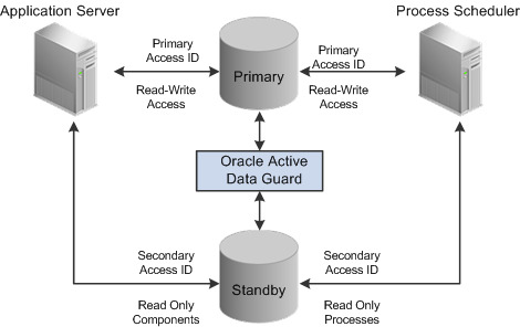 ORACLE ACTIVE DATA GUARD – NAMED USER PLUS PERPETUAL